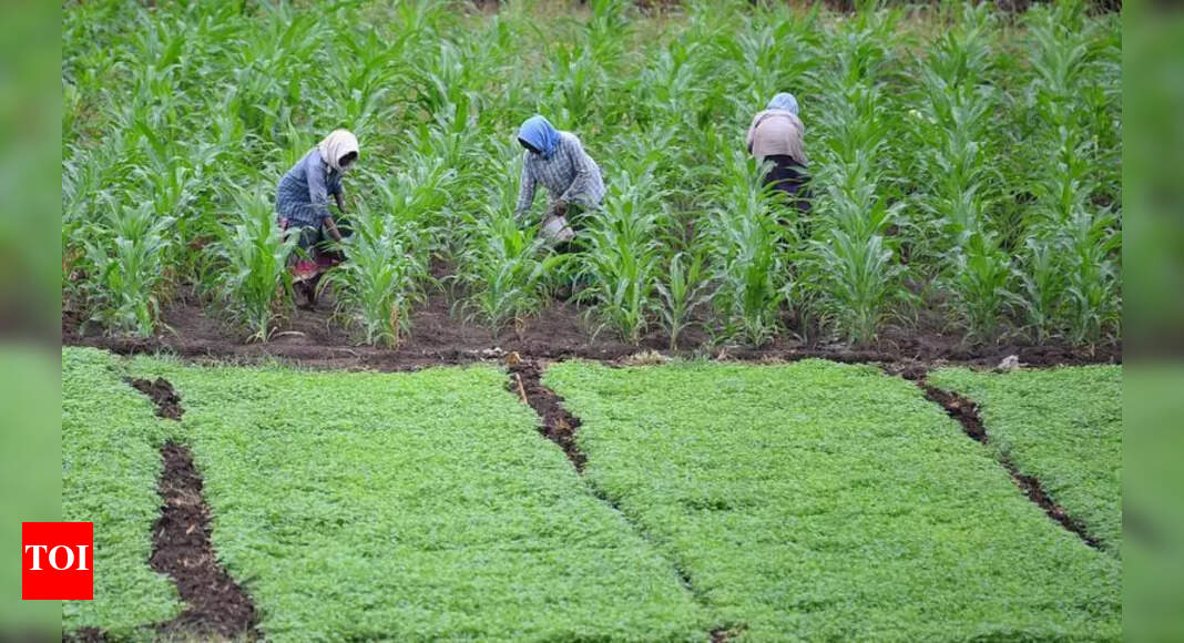 ASR district aims for organic transformation by 2030 | Vijayawada News ...