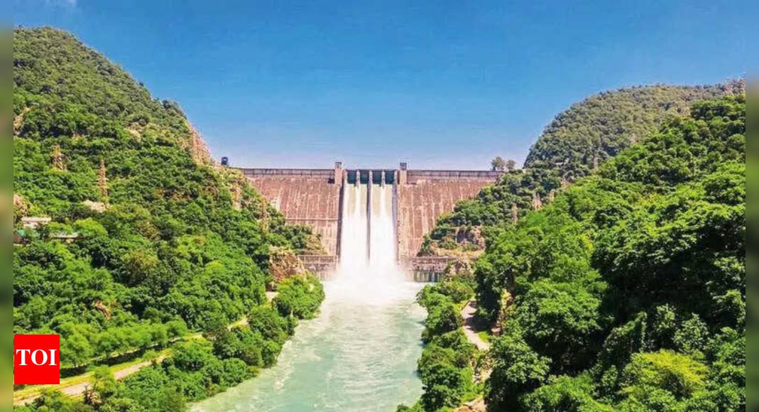 Water row: Bhakra Beas board moves high court; Punjab govt links dam ‘control’ to Pakistan ...