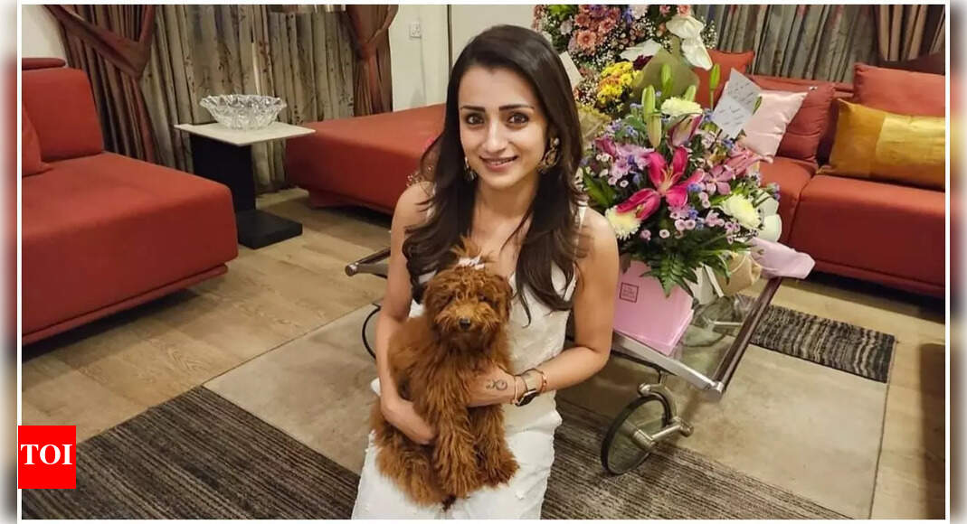 Trisha Krishnan shares heartwarming birthday photo dump, says ‘Couldn’t ...