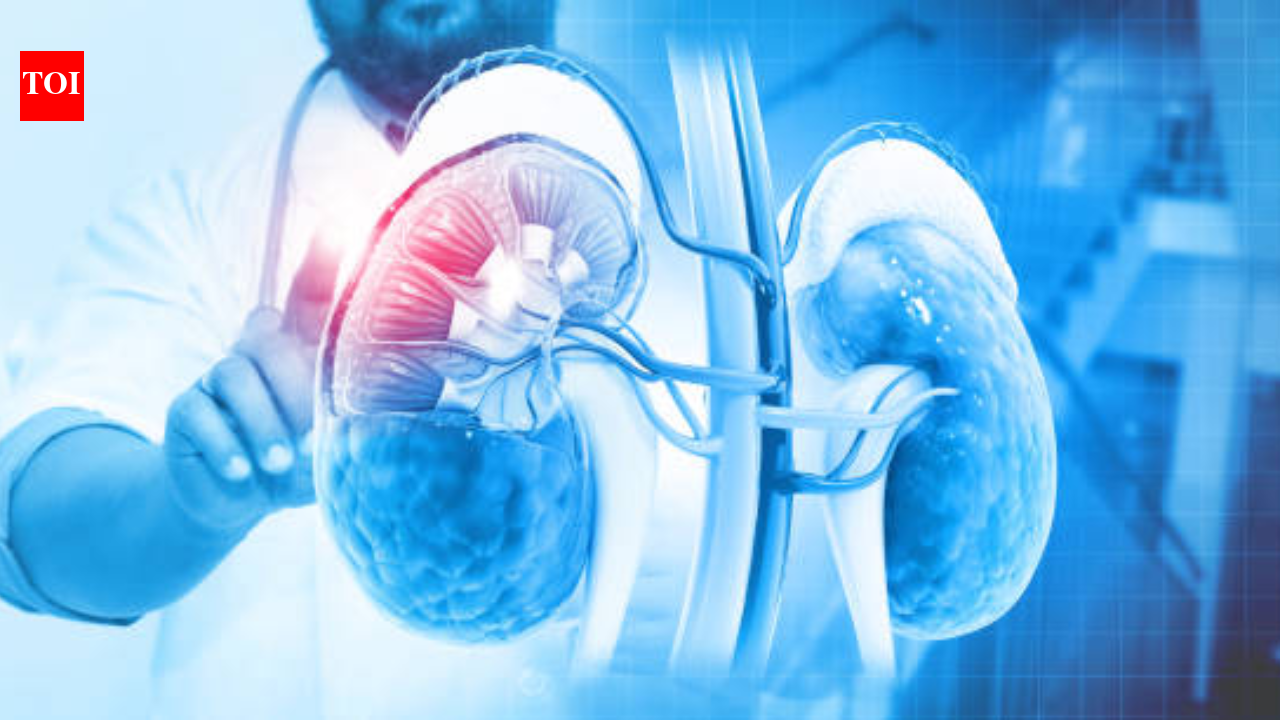 Kidney Damage Symptoms: Kidney damage starts with these small daily ...