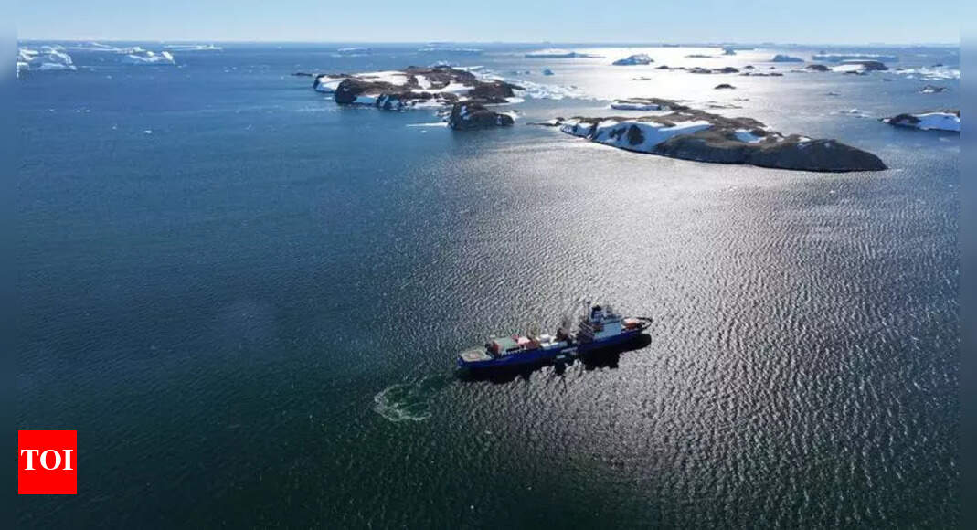 India plans to start fishing for krill in the Southern Ocean | Chennai ...