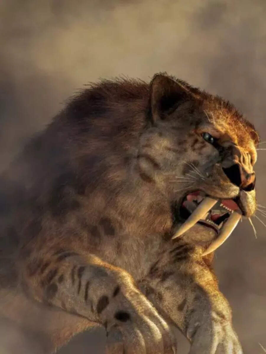 10 animals that survived the Ice Age | Times of India