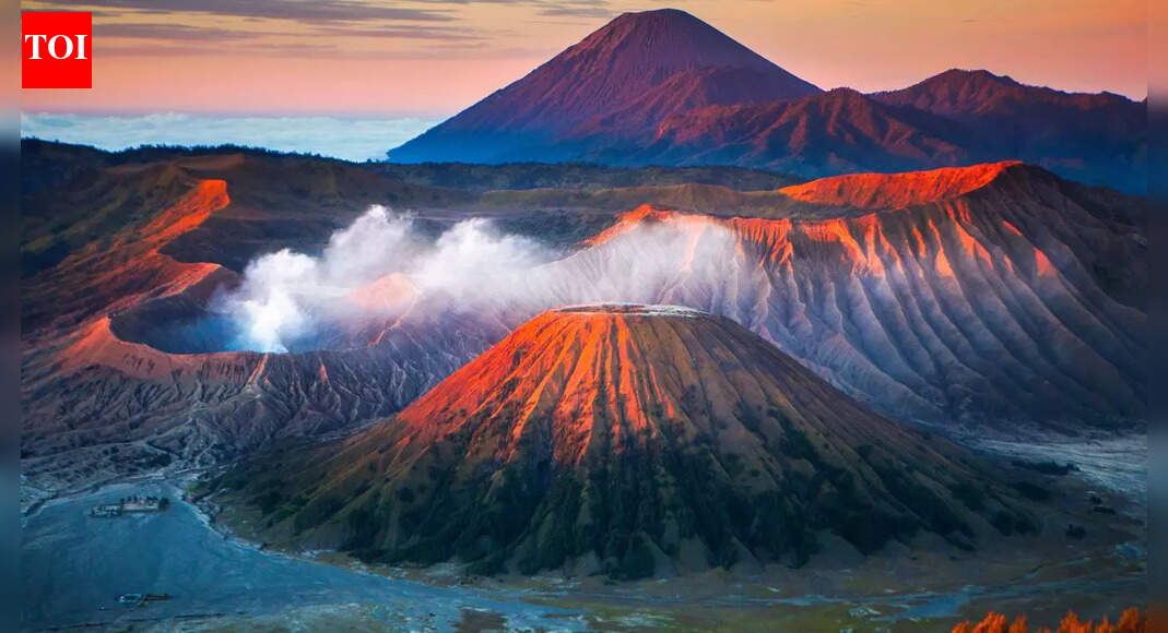 6 unique creatures that can survive near volcanoes and how