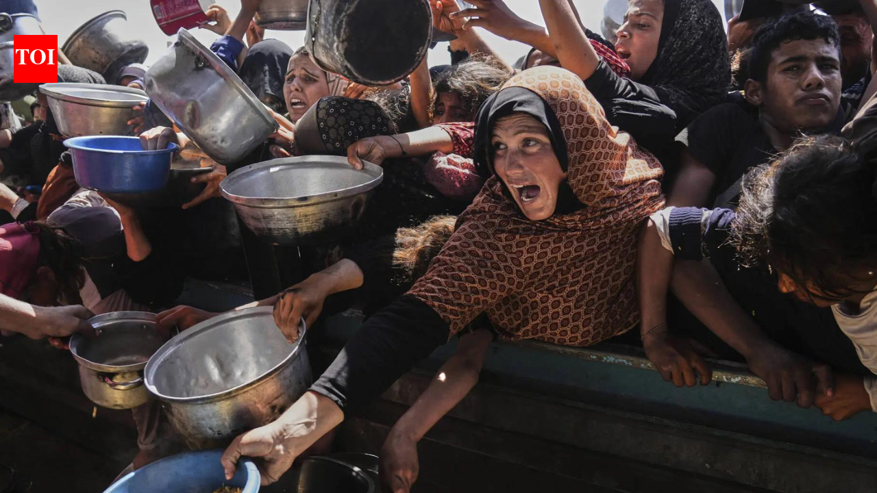 Scenes of despair: Gaza starves amid aid crisis