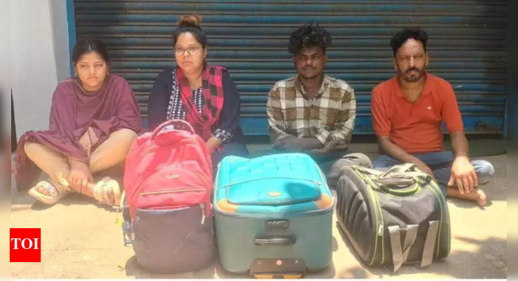 Four ganja peddlers pose as family, nabbed | Chennai News - The Times ...