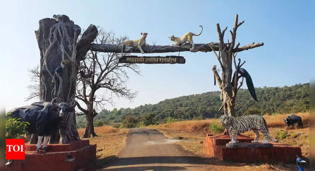 Maharashtra villagers rehabilitated to Thane district due to Sahyadri ...