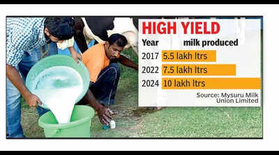 Mymul offers free livestock insurance to 65k milk producers | Mysuru ...