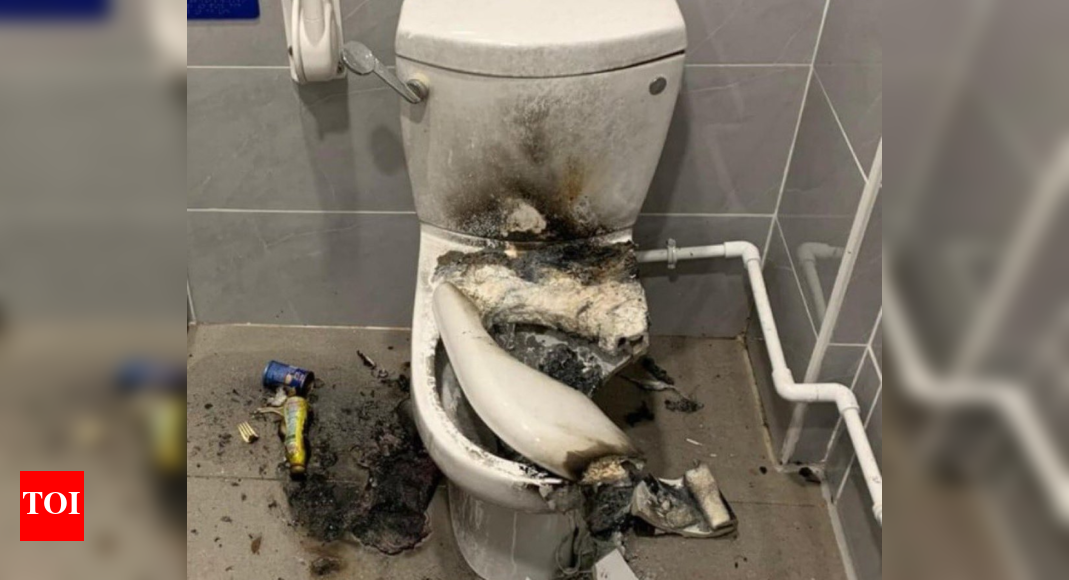 Viral News: What! Normal toilet seat explodes in Noida home! And why ...