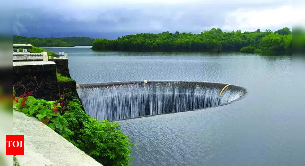 Water in reservoirs to last up to 120 days, says WRD min | Goa News ...