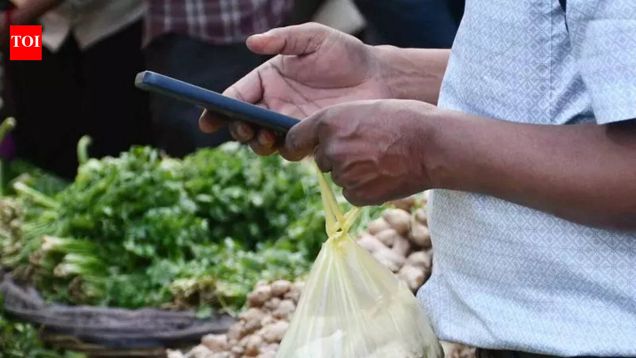 DMC begins yet another plastic-free drive as Doon mkts flood with ...