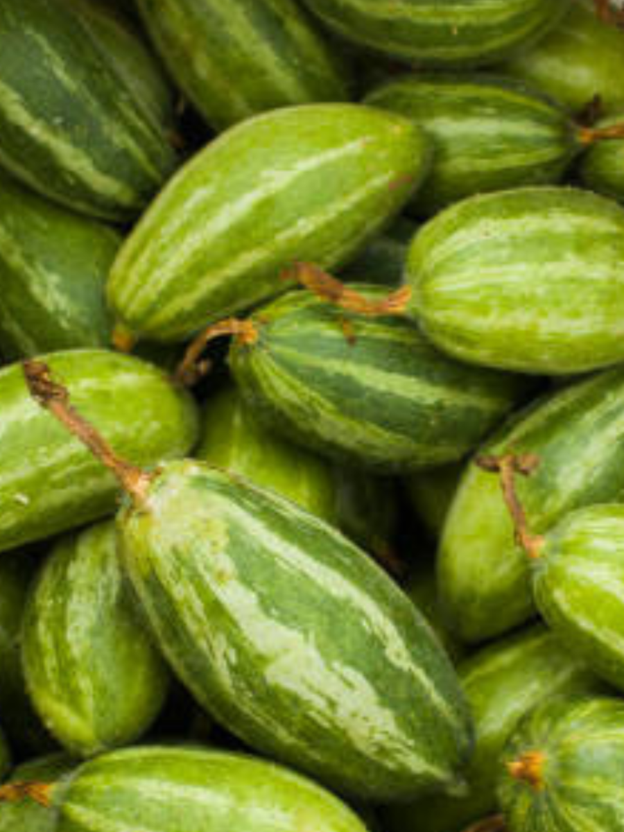 Parwal Recipes: 10 creative ways to add parwal to daily diet | Times of ...