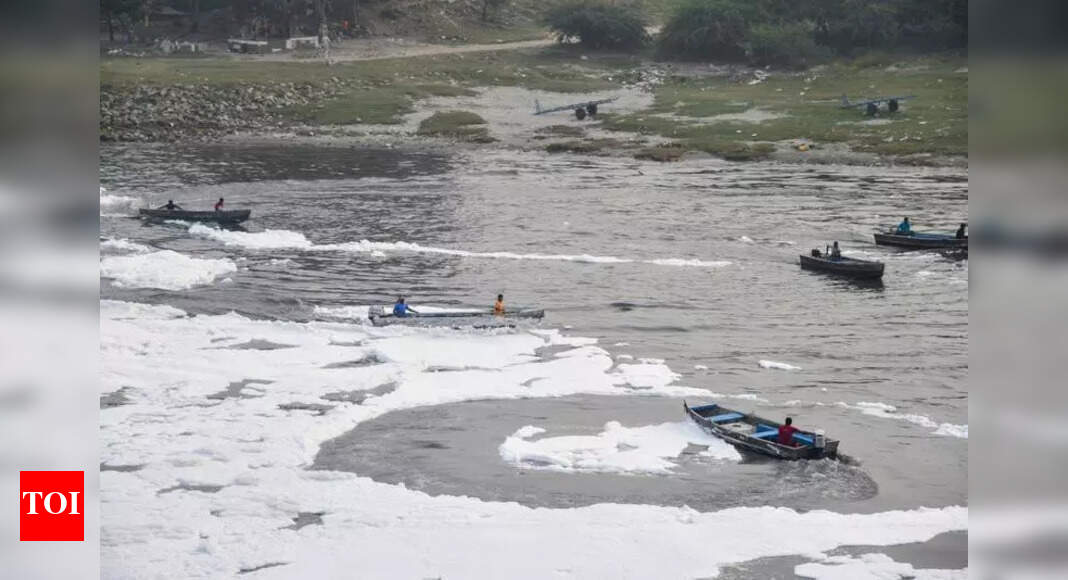 Yamuna pollution remains high as most STPs fail to meet standards ...