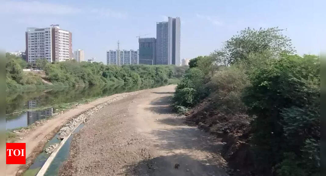 Pimpri Chinchwad civic body suspends work on 400-metre stretch of ...