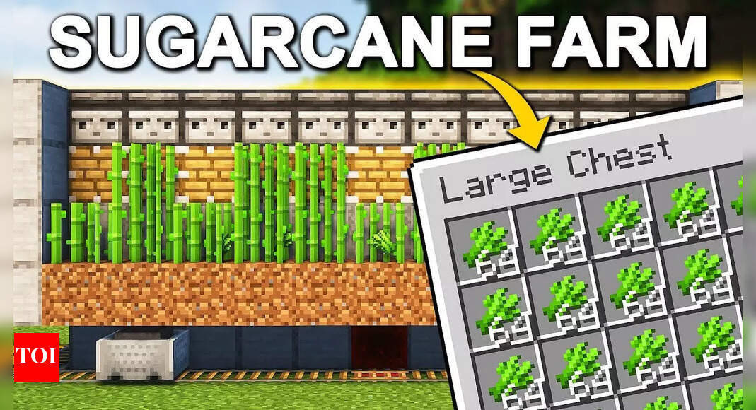 How to Make a Fully Automated Sugarcane Farm in Minecraft - The Times ...
