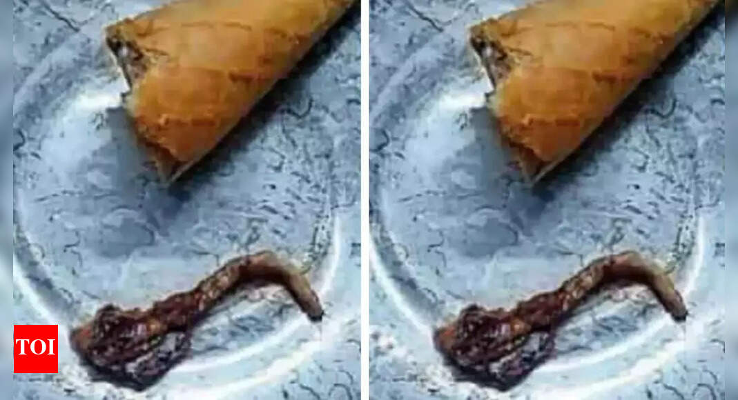 Lizard tail in ice cream cone? Ahmedabad woman’s chilling discovery ...