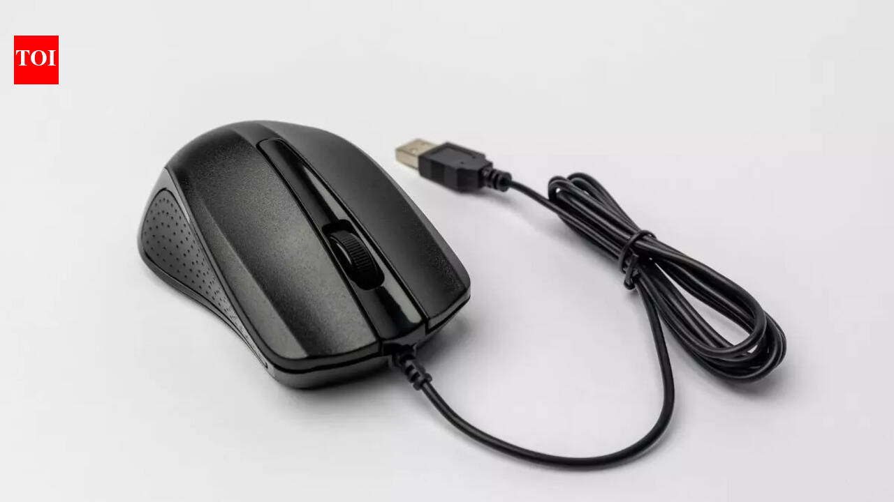 Wired Mouse: Best Wired Mouse For Smooth & Lag-Free Performance | - The ...
