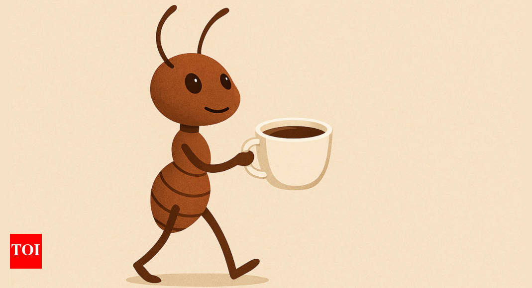 Buzzed and focused: How caffeine transforms ants into memory machines ...