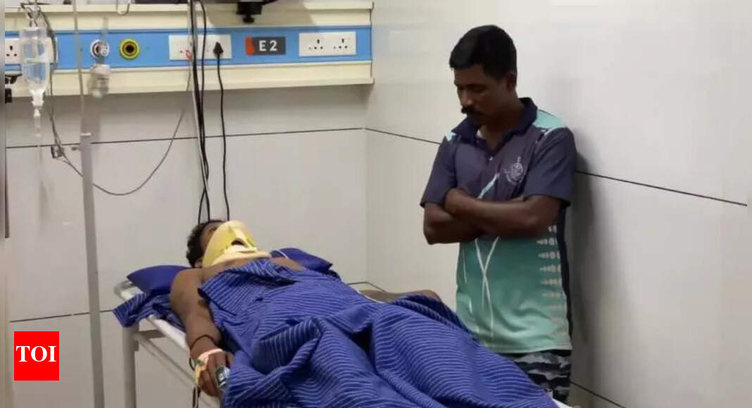 Kumki elephant attacks mahout; tiger still elusive | Kozhikode News ...