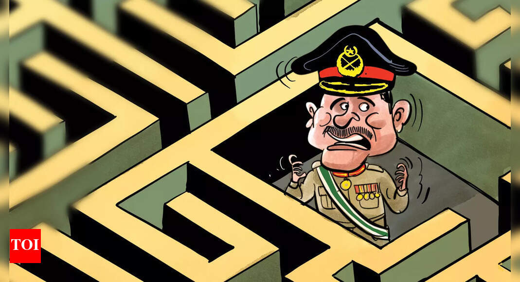 The Field Marshal In His Labyrinth - The Times of India