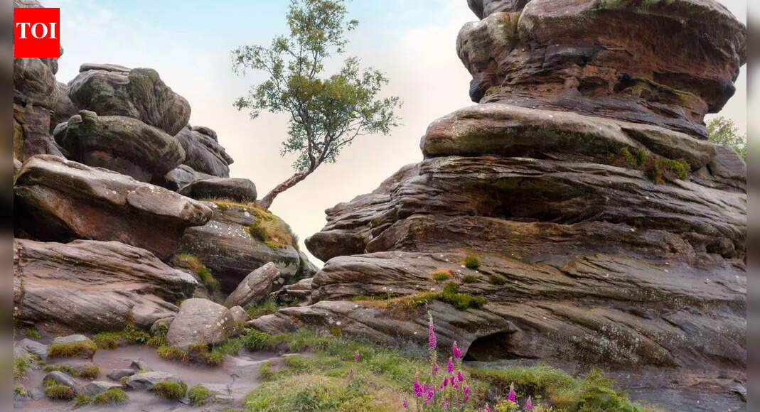 5 of the oldest rock discoveries revealing Earth’s early secrets