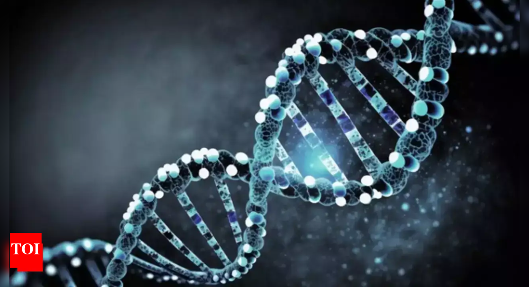 SHOX value: A genetic clue to why men are taller than women - Times of ...