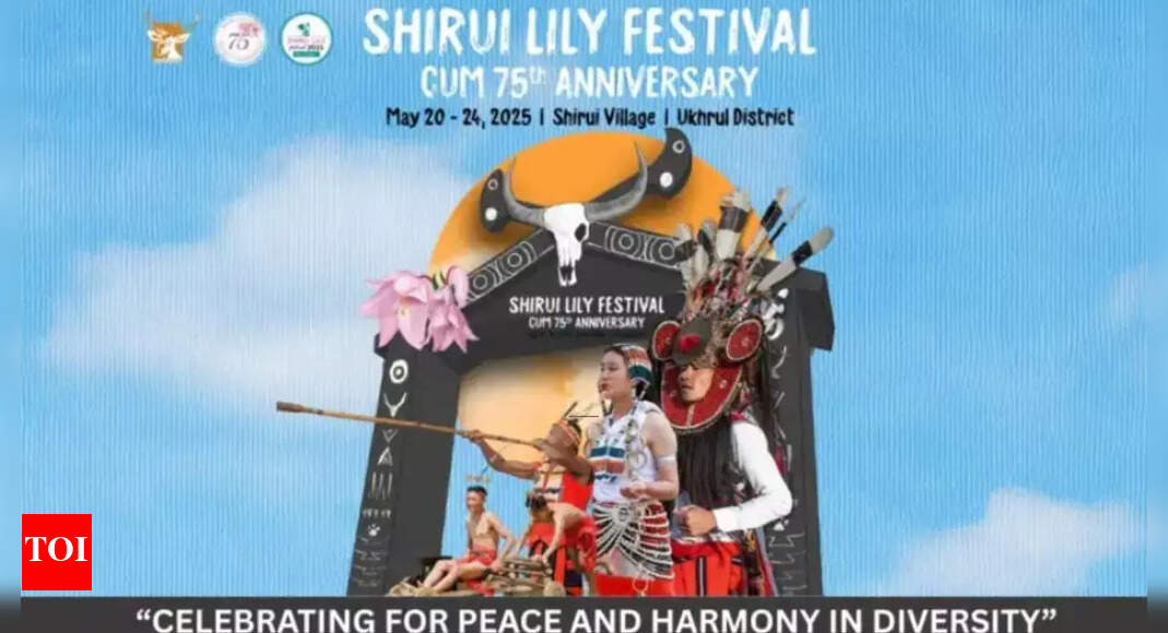Literature, gospel, and culinary talent shine on day two of Shirui Lily ...
