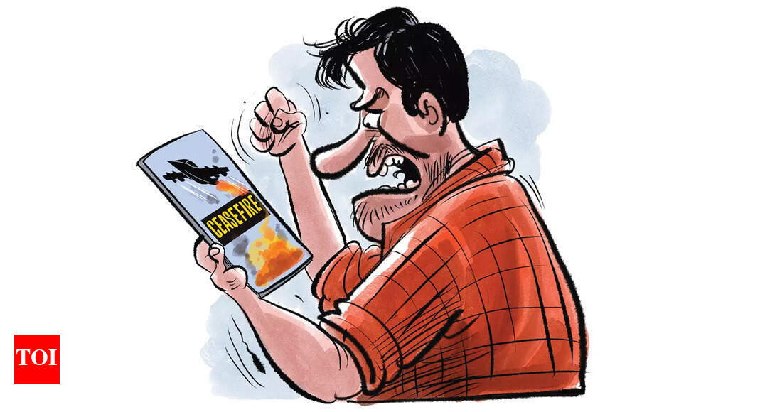 Op Sindoor: 9 Strategy & History Lessons For Trolls - The Times of India