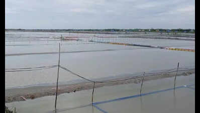 Unseasonal rain hits salt production in Vedaranyam | Trichy News ...