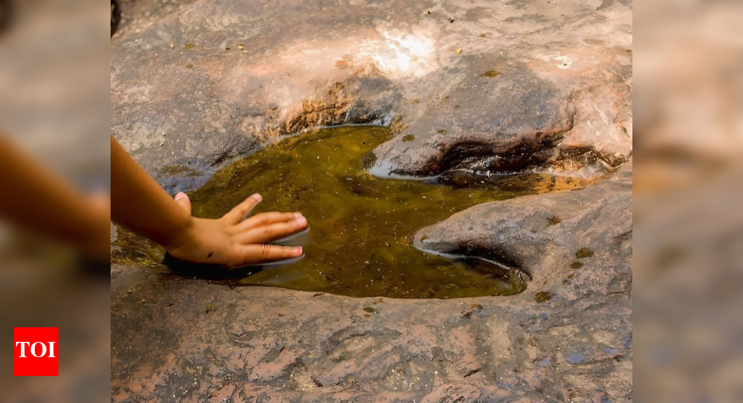 Dried riverbed exposes 113 million years old dinosaur footprints that ...
