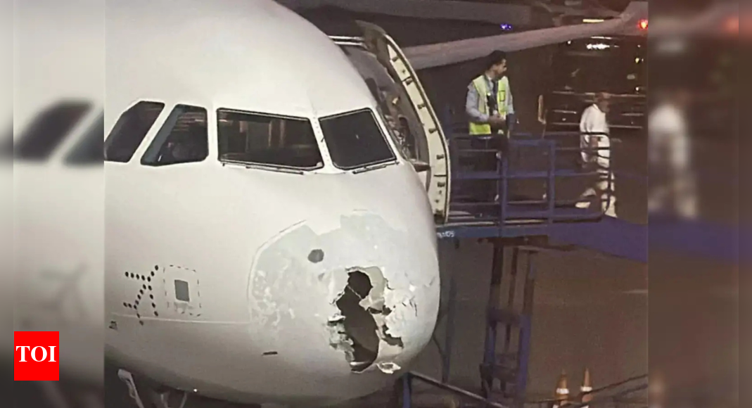 Watch: Delhi-Srinagar flight’s broken nose’s viral video | - The Times ...