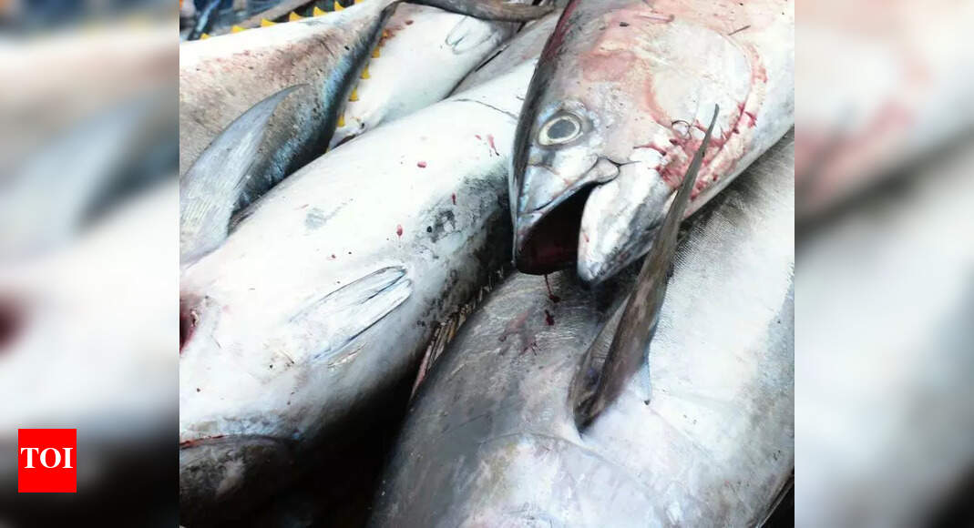 Woman dies in Kollam after suspected food poisoning from tuna fish ...