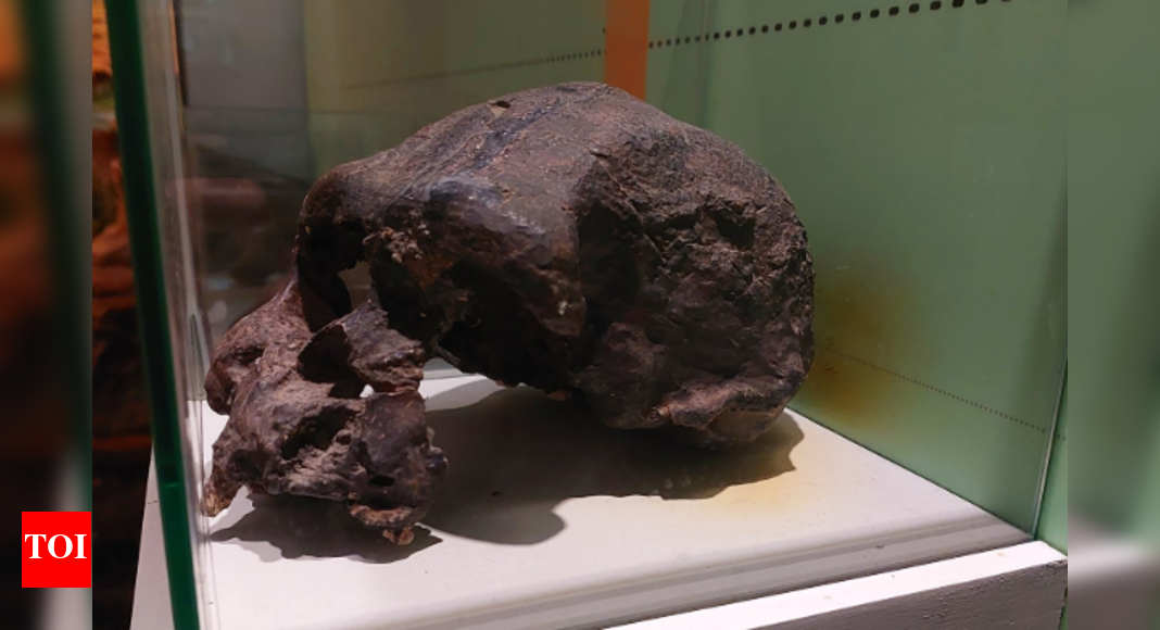 Scientists discover 1,40,000-year-old human bone fossils under the sea ...