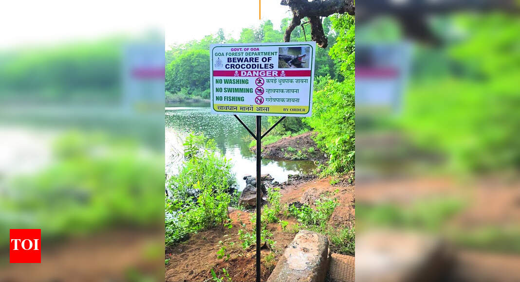 After croc attack, WRD plans to build clothes-washing facilities | Goa ...