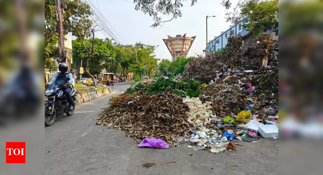 Garbage piles up on Salt Lake roads as BMC waits for hydraulic dumpers for direct disposal at ...