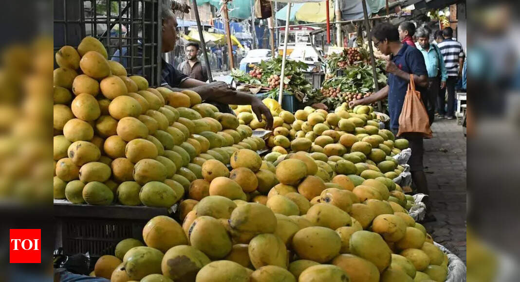Pre-monsoon rain affects mango supply, quality in May | Pune News ...