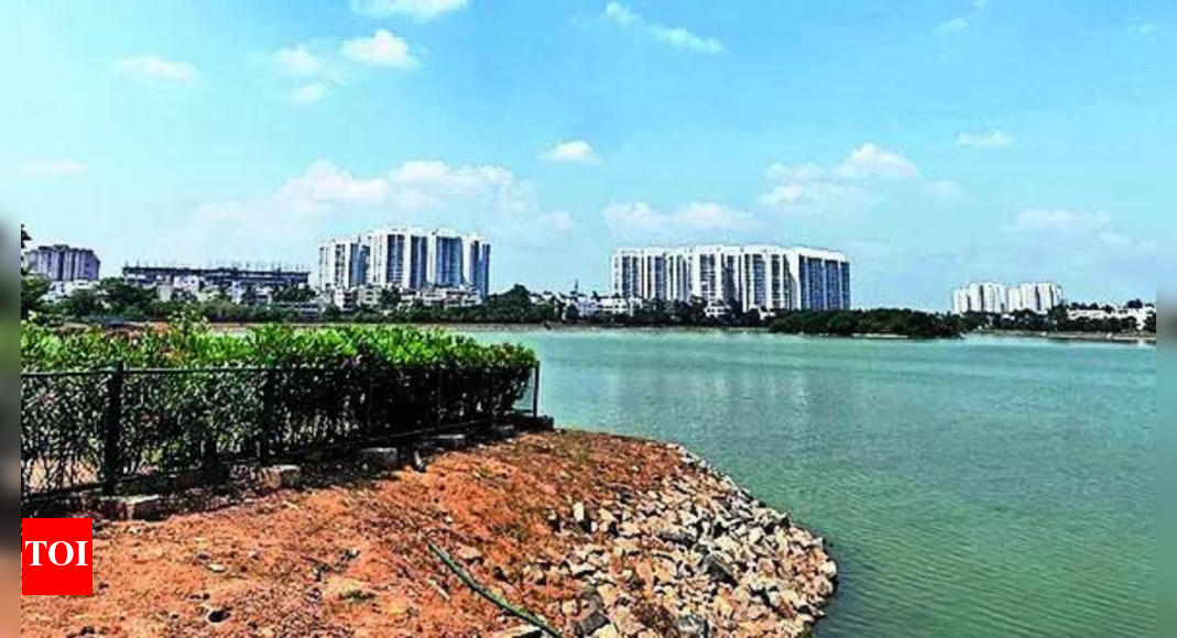 9 Bengaluru citizens revive dying Sarakki lake, turning sewage-choked ...