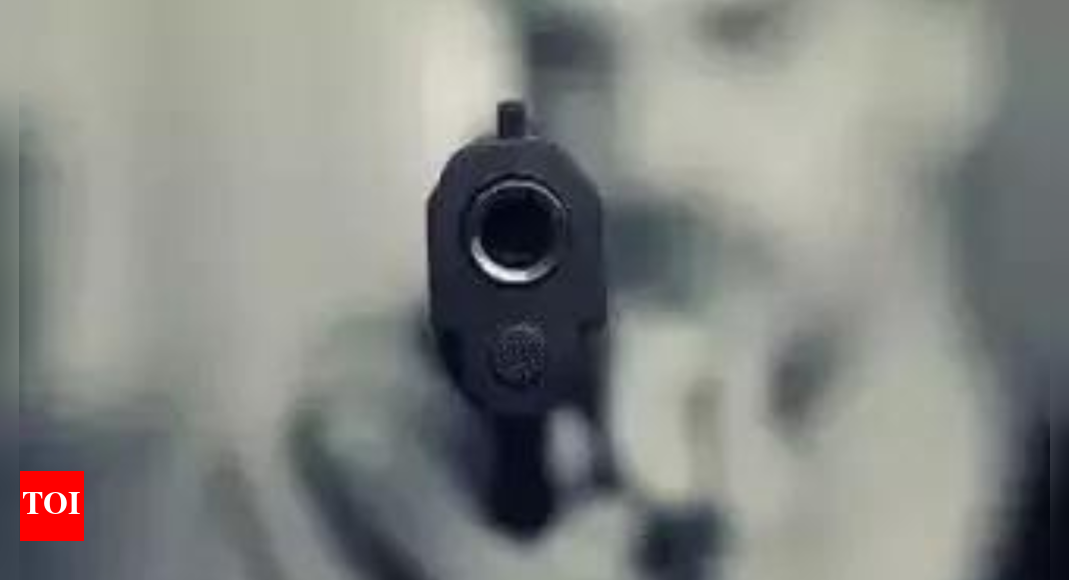 Akali Dal leader's murder: Party says councillor was denied security ...