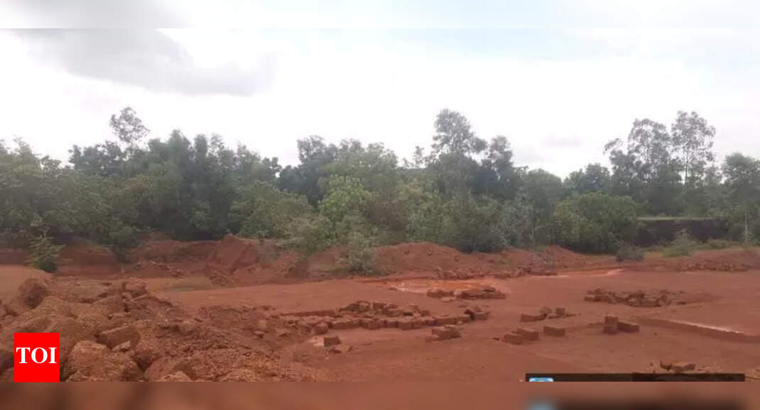 FIRs against officer, lessee for illegal extraction of laterite from ...