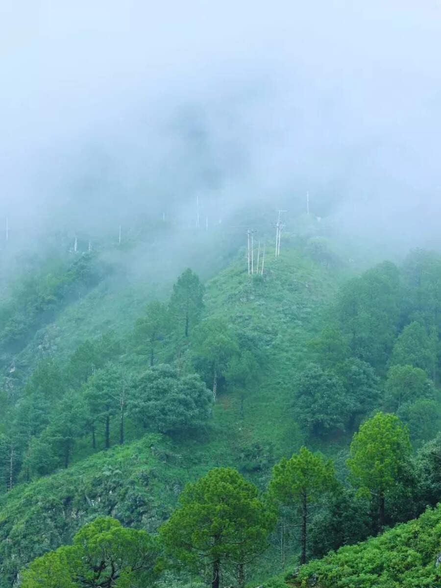 8 cool hill stations in Northeast India for a perfect summer getaway ...