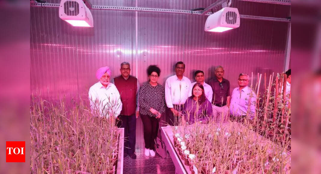 PAU-BITS Pilani tie up to marry agri with tech | Ludhiana News - Times ...