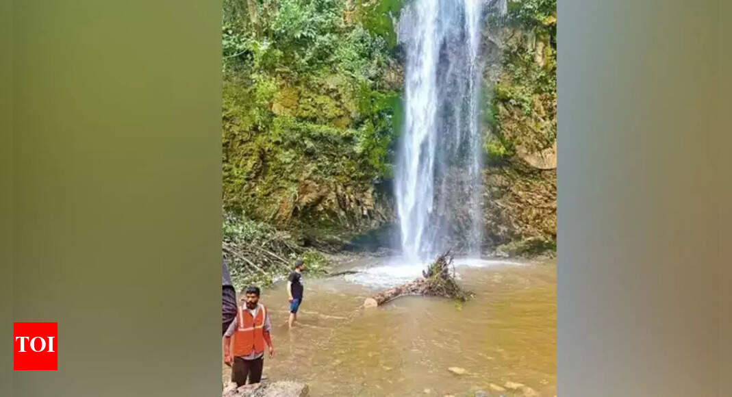 Tiger Falls Incident: Delhi woman among 2 killed as tree falls on them ...