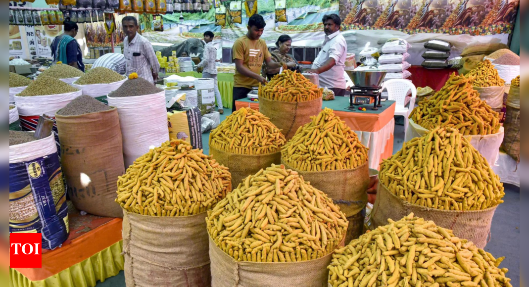 NIRCA’s vision for turmeric-based rural livelihoods in Andhra ...