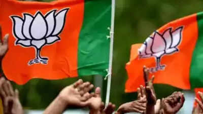 BJP brings new team in Bihar to boost party before elections | Patna ...