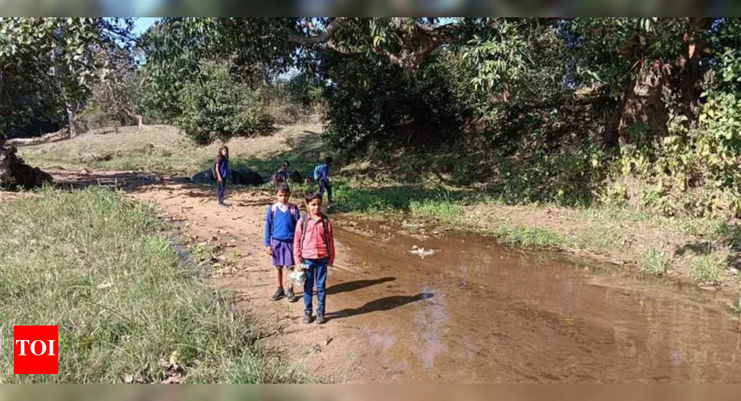 Chatra village bridge project gets stuck in bureaucratic limbo | Ranchi ...