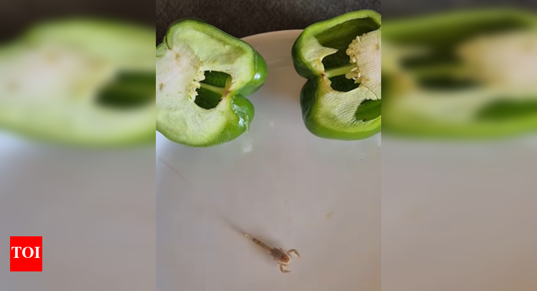 Viral News: What? Woman cuts open a capsicum and finds a scorpion ...