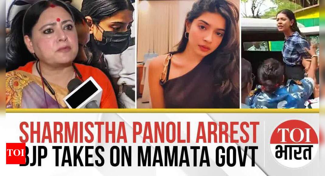 'Hygiene not being maintained': Influencer Sharmishta Panoli files plea ...