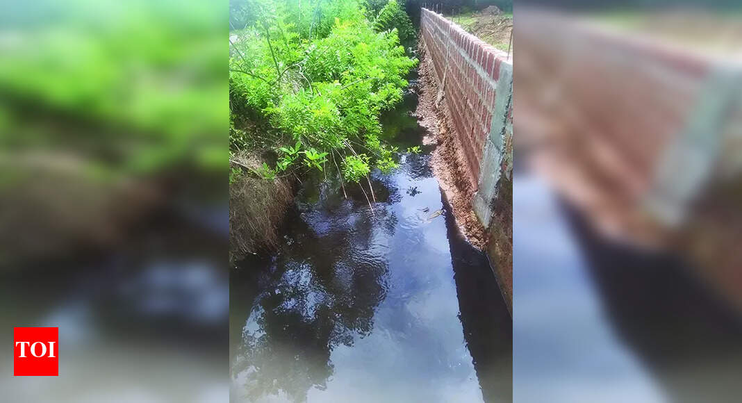 Spread of toxic waste in fields hits Agasaim ryots | Goa News - Times ...