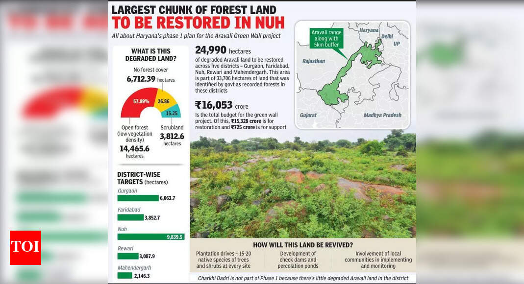 In 1st phase of Aravali Green Wall project, Haryana to revive forest ...