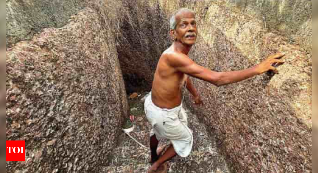 Balakrishna Aiya: 76-year-old Balakrishna Aiya dug through rock to ...