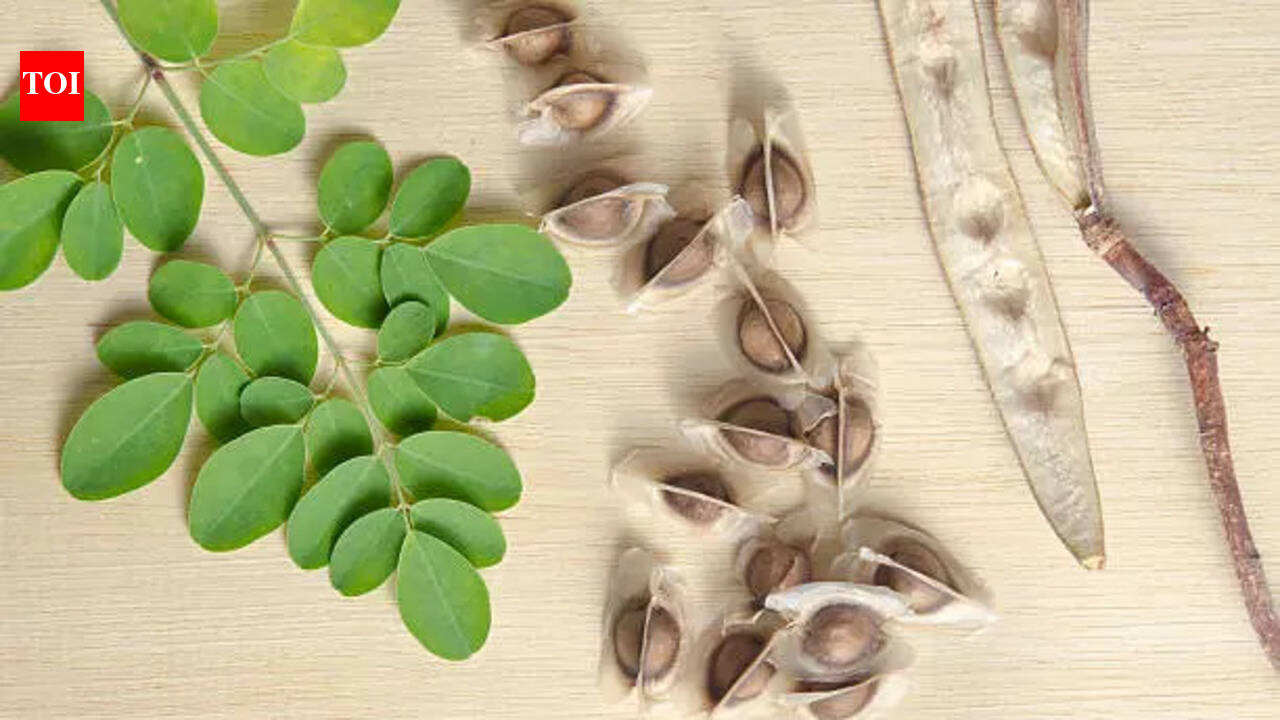 Moringa Seeds for Hair Growth: Not just Moringa juice, here's how you ...